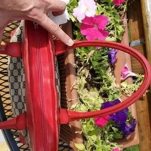 Gucci | Other | Gucci Gg Beautiful Authentic Vintage Classi Monogram ...